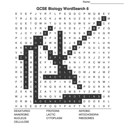 GCSE Biology Bumper Fun Wordsearch Pack. 10 Wordsearch Set included ...
