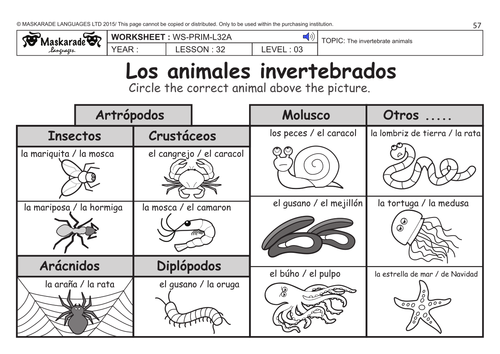 SPANISH KS2 Level 3 - KS3 (Year 7): Vertebrate and invertebrate animals ...