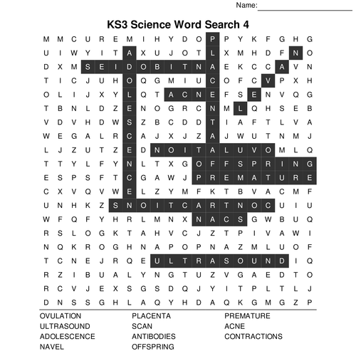 KS3 Science Bumper Fun Wordsearch Megapack. 10 Sets of 10 Included ...