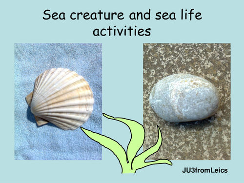 SEA CREATURES and sea life activities. Home or school. | Teaching Resources