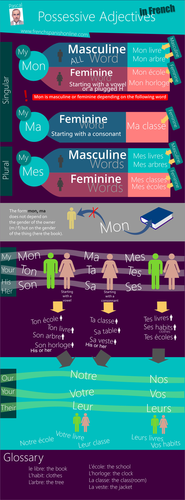 French Possessive Adjectives | Teaching Resources