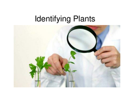 Year 1 Science Identifying Common Plants | Teaching Resources