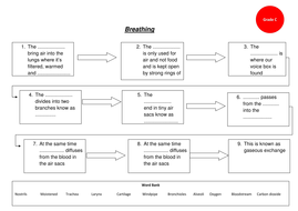 GCSE PE, Respiratory System | Teaching Resources
