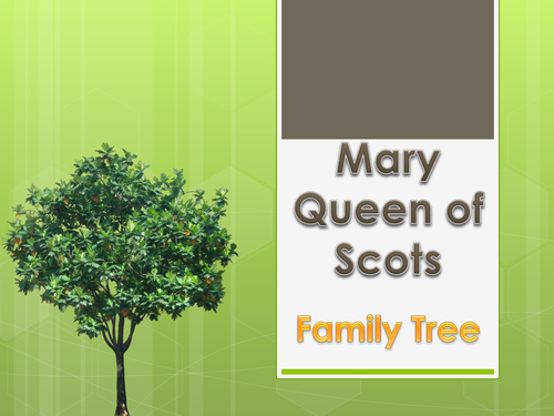 Mary Queen of Scots Family Tree | Teaching Resources