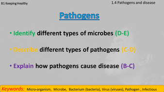 Aqa B1 1 4 Pathogens And Disease Teaching Resources