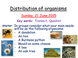 Organisms in the environment | Teaching Resources