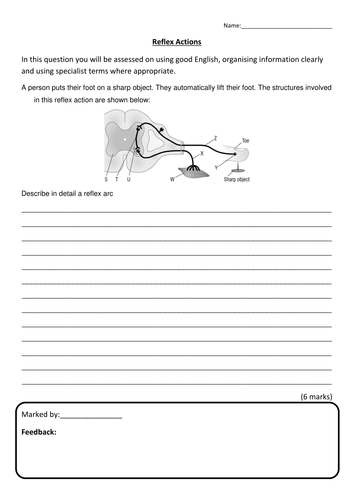 65 AQA Biology 6 Mark Questions With Mark Schemes | Teaching Resources 65 AQA Biology 6 Mark Questions With Mark Schemes | Teaching Resources