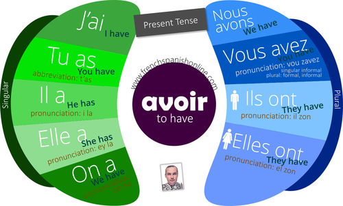 Verb to have (avoir) in French: Present tense | Teaching Resources