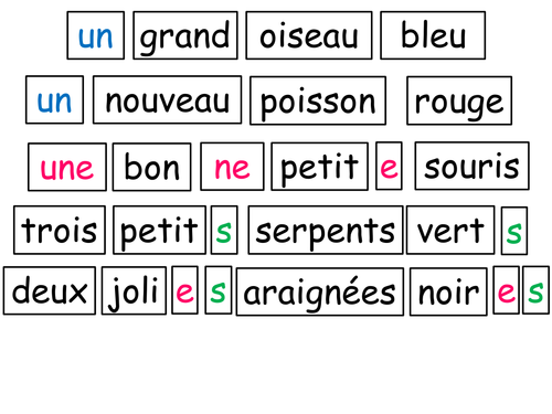 French Adjective Agreement and Placement | Teaching Resources