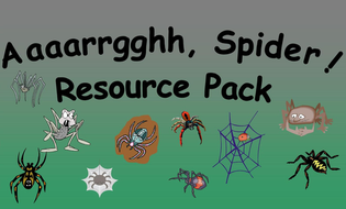 Aaaarrgghh, Spider! Resource Pack | Teaching Resources