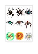 Aaaarrgghh, Spider! Resource Pack | Teaching Resources