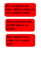 Aaaarrgghh, Spider! Resource Pack | Teaching Resources