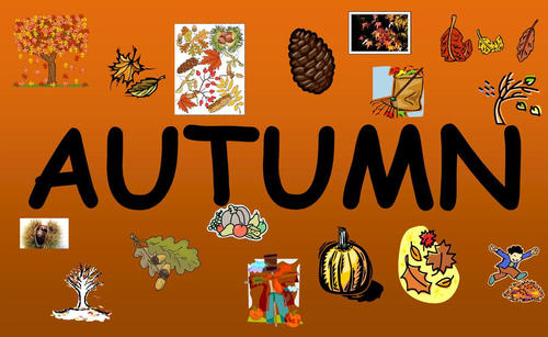 Autumn Special Bundle 1 | Teaching Resources