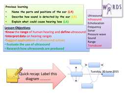 KS3 Ultrasound | Teaching Resources