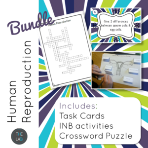 Human Reproduction BUNDLE - Resources - TES