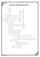 Human Reproduction BUNDLE - Resources - TES