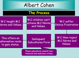 Cohen Status Frustration Fun Activity. Cartoon and stages match up ...