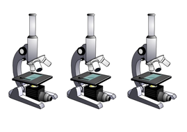 KS4 AQA GCSE Biology (Science) Microscope Lessons | Teaching Resources