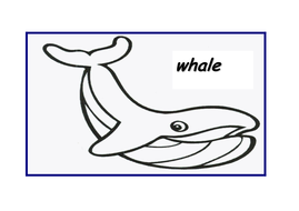 The Snail and the Whale Resource Pack | Teaching Resources