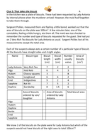 Maths Murder Mystery 13 - Made to Measure | Teaching Resources