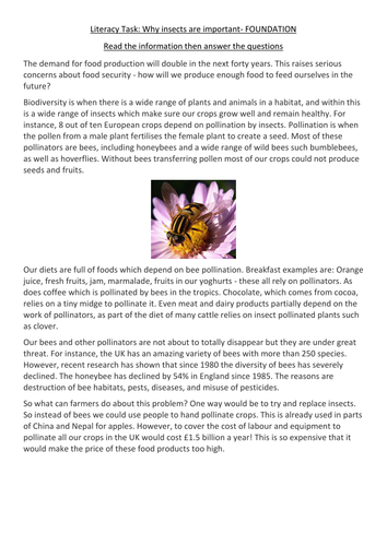 KS3 Insect Pollination and Food security | Teaching Resources