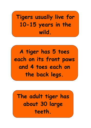 The Tiger Who Came to Tea Resource Pack | Teaching Resources