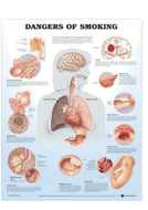PSHE: Drug and Alcohol Awareness | Teaching Resources