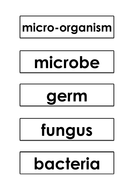 sample of 72 science keyword displays | Teaching Resources