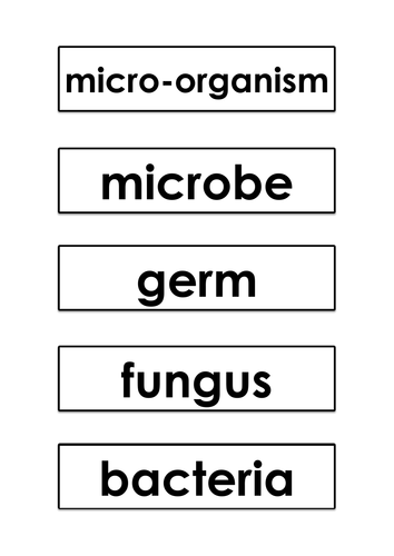 sample of 72 science keyword displays | Teaching Resources