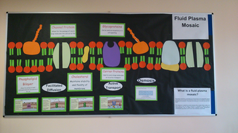 Science Classroom / Lab display Ideas by chalky1234567 - Teaching ...
