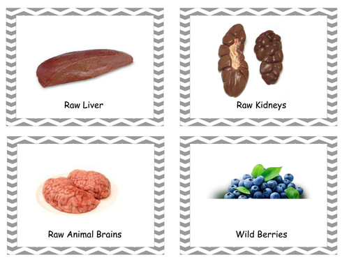 Stone Age, Bronze Age and Iron Age eating and food lesson, Pre-history ...