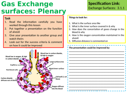 OCR A Level 2015 Biology Spec Introduction to Exchange Surfaces Lesson ...