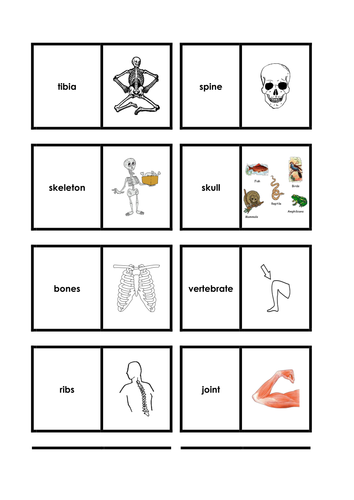 Moving and Growing - Science keyword activities, resources and displays ...