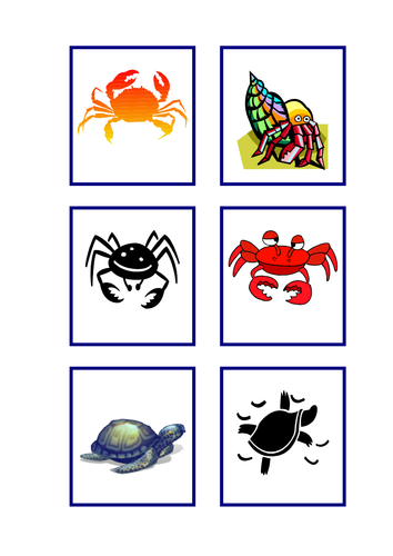 Commotion in the Ocean Resource Pack | Teaching Resources