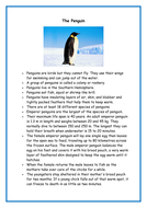 Commotion in the Ocean Resource Pack | Teaching Resources