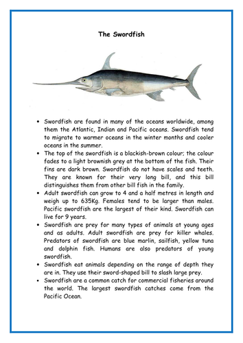 Commotion in the Ocean Resource Pack | Teaching Resources