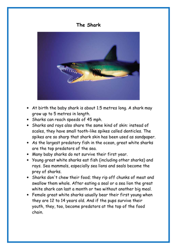 Commotion in the Ocean Resource Pack | Teaching Resources