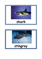Commotion in the Ocean Resource Pack | Teaching Resources