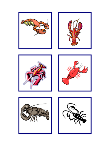 Commotion in the Ocean Resource Pack | Teaching Resources