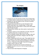 Commotion in the Ocean Resource Pack | Teaching Resources