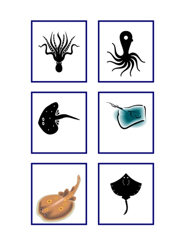 Commotion in the Ocean Resource Pack | Teaching Resources