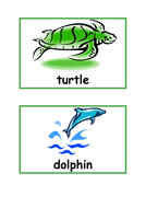 Commotion in the Ocean Resource Pack | Teaching Resources