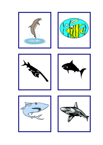 Commotion in the Ocean Resource Pack | Teaching Resources