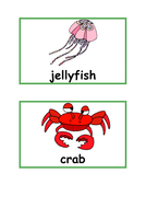 Commotion in the Ocean Resource Pack | Teaching Resources