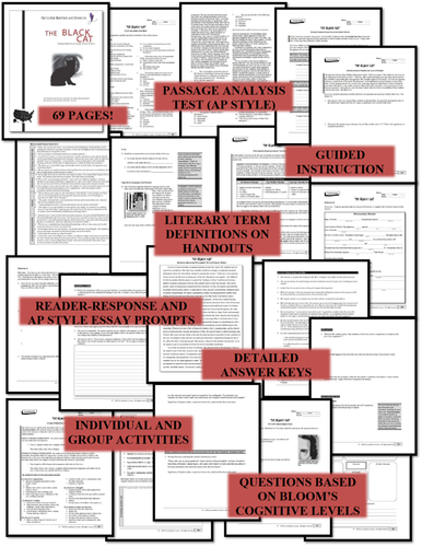 "The Black Cat" COMPLETE UNIT EDITABLE Activities, Tests, AP Style ...