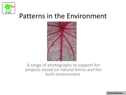Patterns in the environment - A slideshow of images | Teaching Resources