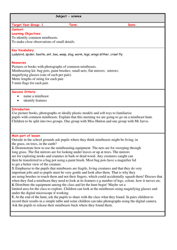Minibeast outdoor lesson plans for Year 1 | Teaching Resources