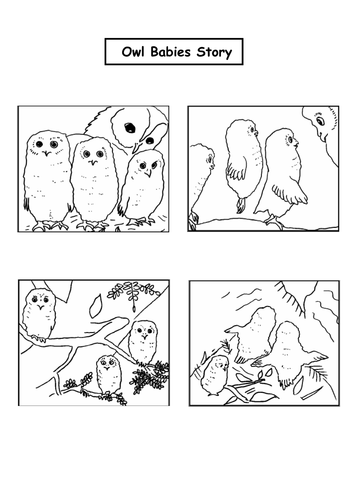 Kindergarten Literacy unit based on 'Owl Babies' | Teaching Resources