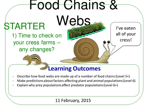 Grade 6-12: Food Chains & Webs (Plants & Ecosystems 7.6) | Teaching ...