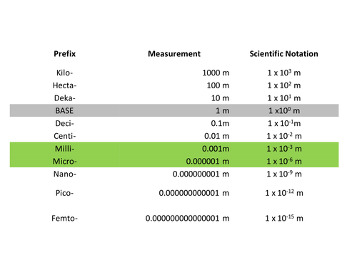 Biology: using a microscope and preparation of a sample slide ...